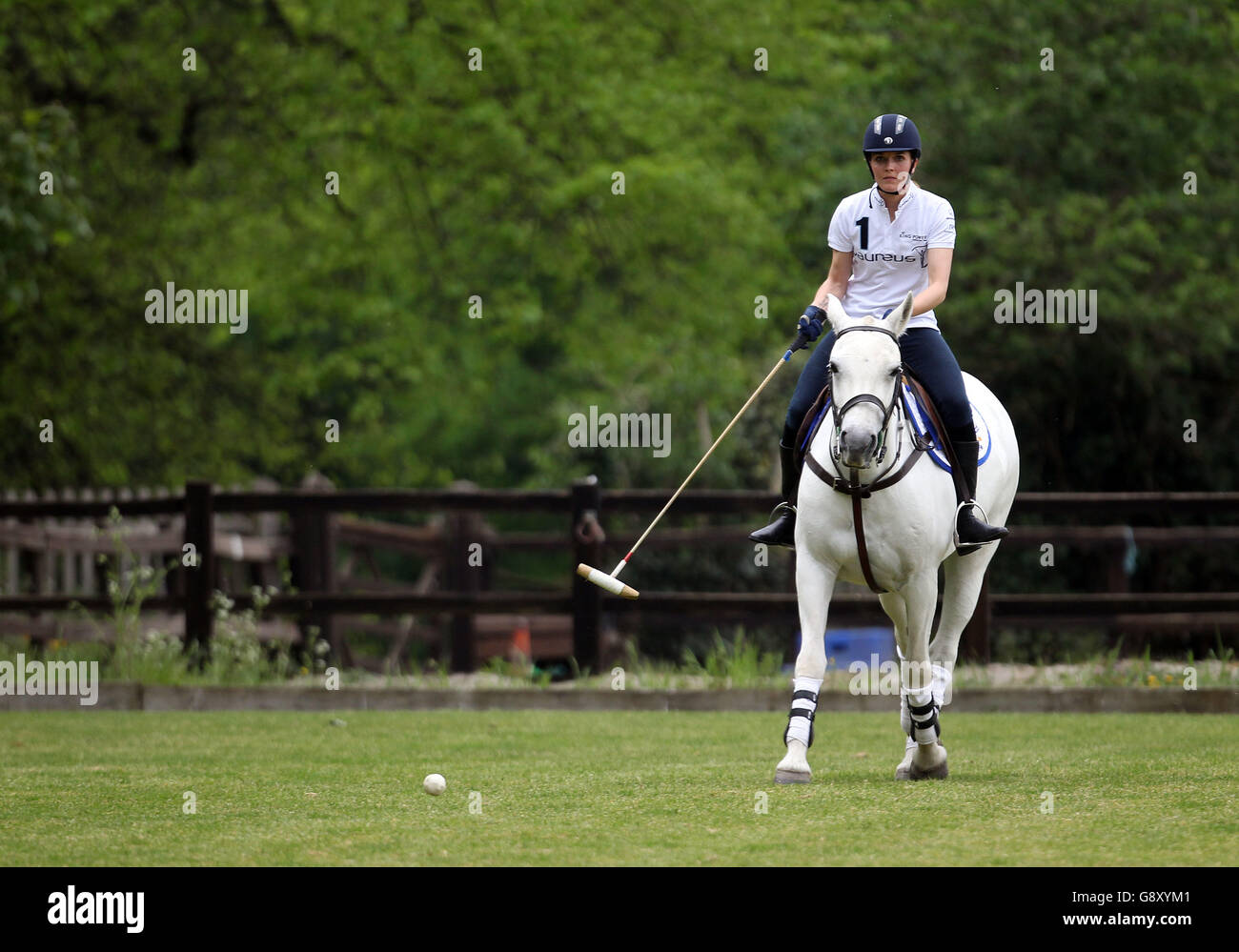 Polo training session Stock Photo - Alamy