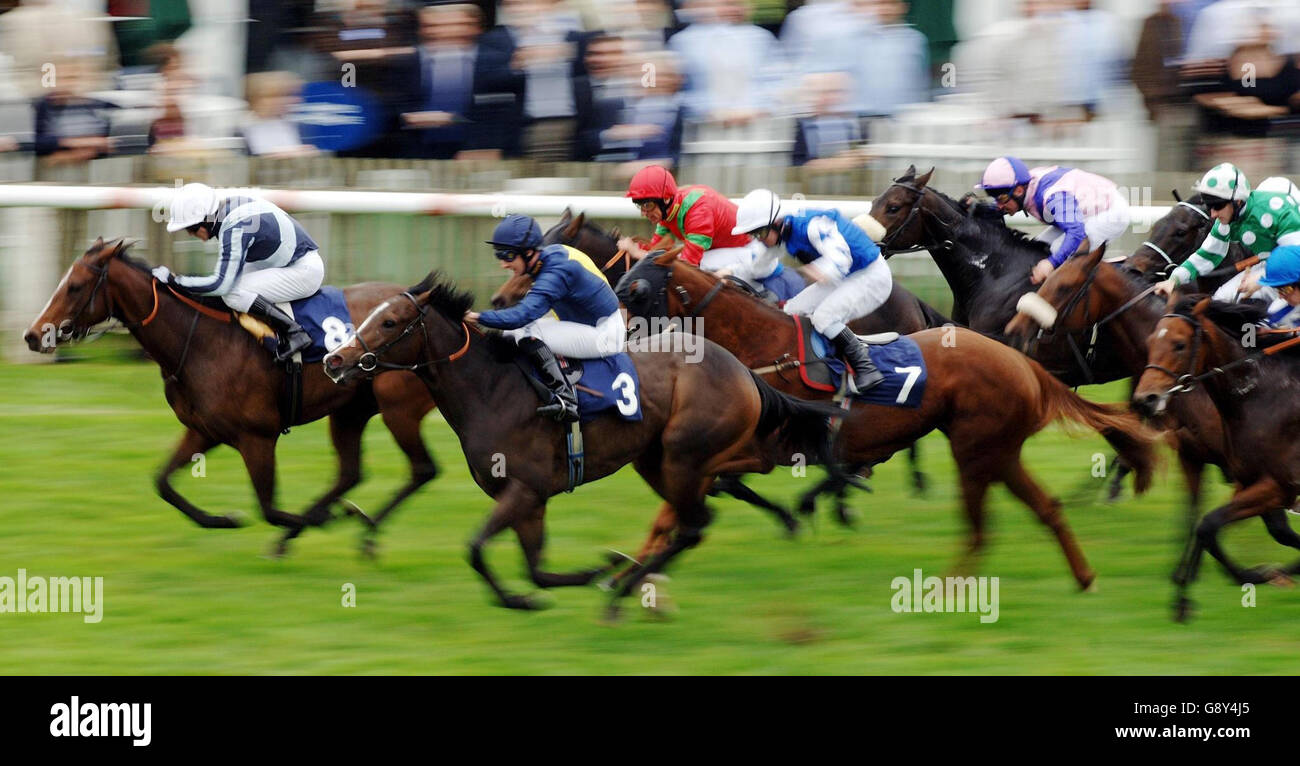 Racing - Newmarket Racecourse Stock Photo - Alamy