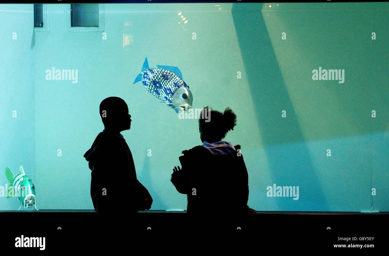 The world's first autonomously-controlled robotic fish were unveiled ...