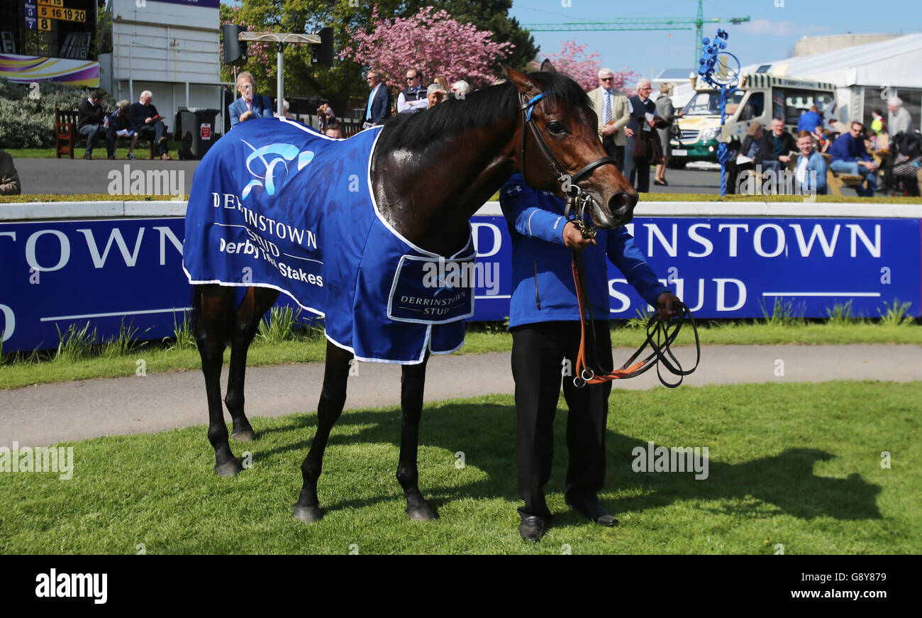 Derrinstown Stud Derby Trial - Leopardstown Races Stock Photo - Alamy