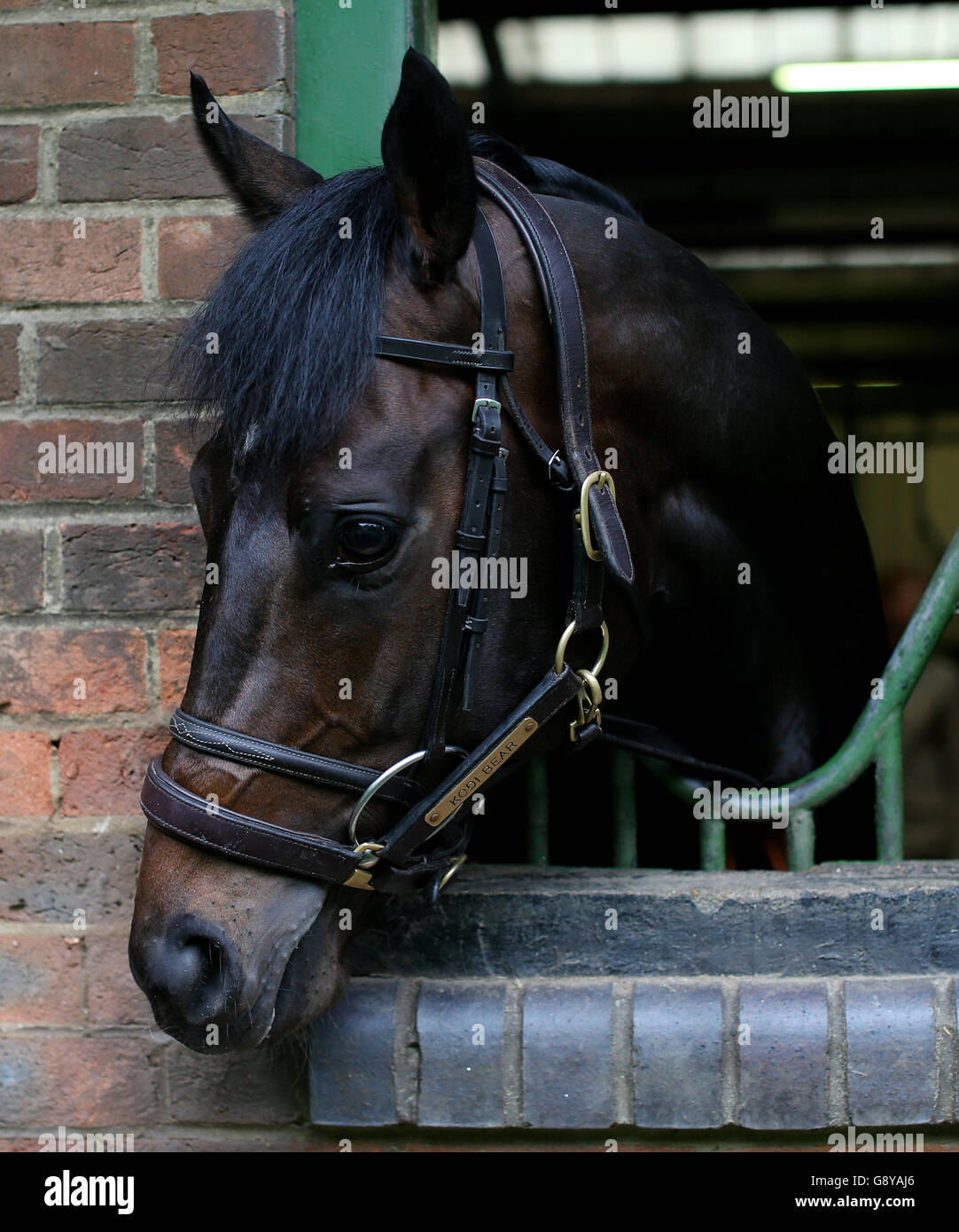 Media Day at Clive Cox Stables Stock Photo - Alamy
