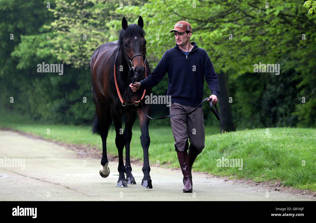 Beechdown hi-res stock photography and images - Alamy