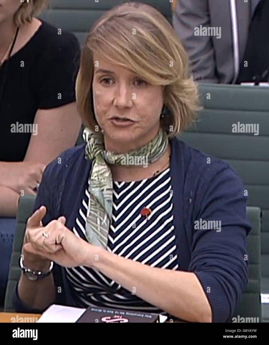 Home Affairs Select Committee Prostitution Evidence High Resolution