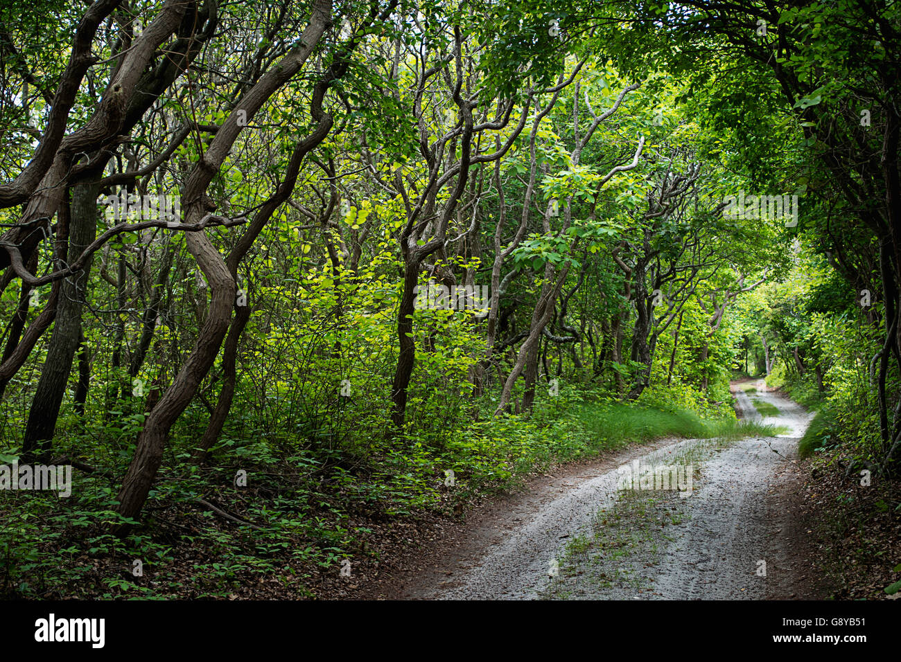 Path of fire hi-res stock photography and images - Alamy