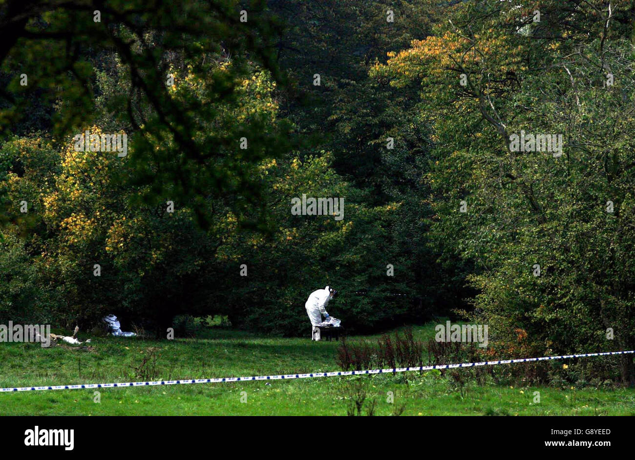 A Police Forensics Officer gathers evidence, in a wooded area on ...