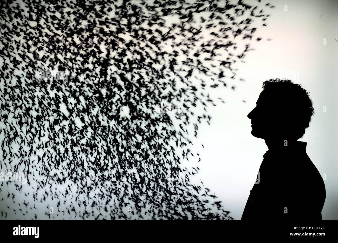 Wildlife Photographer of the Year Manuel Presti admires his work Sky ...