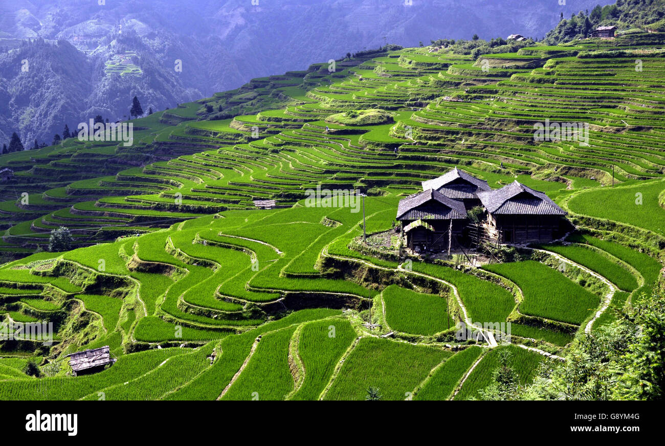 Chaofu hi-res stock photography and images - Alamy