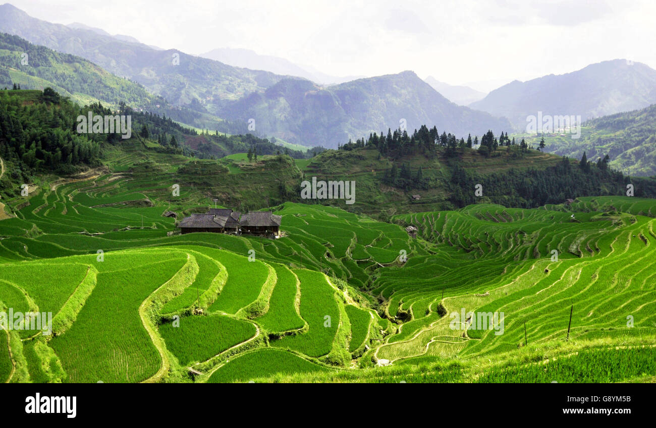 Chaofu hi-res stock photography and images - Alamy