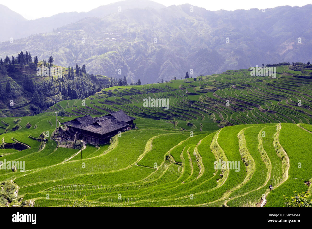 Chaofu hi-res stock photography and images - Alamy