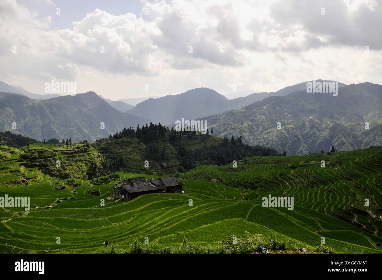 Chaofu hi-res stock photography and images - Alamy