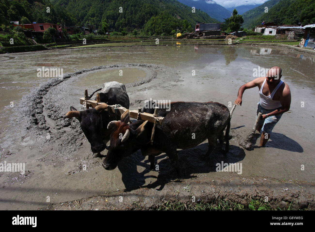 Asar 15 hi-res stock photography and images - Alamy