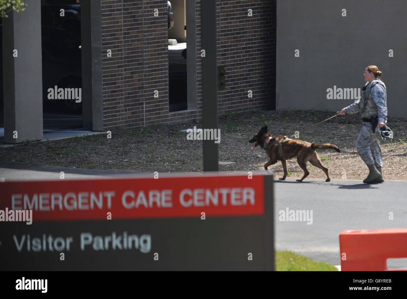 Canine units hi-res stock photography and images - Alamy