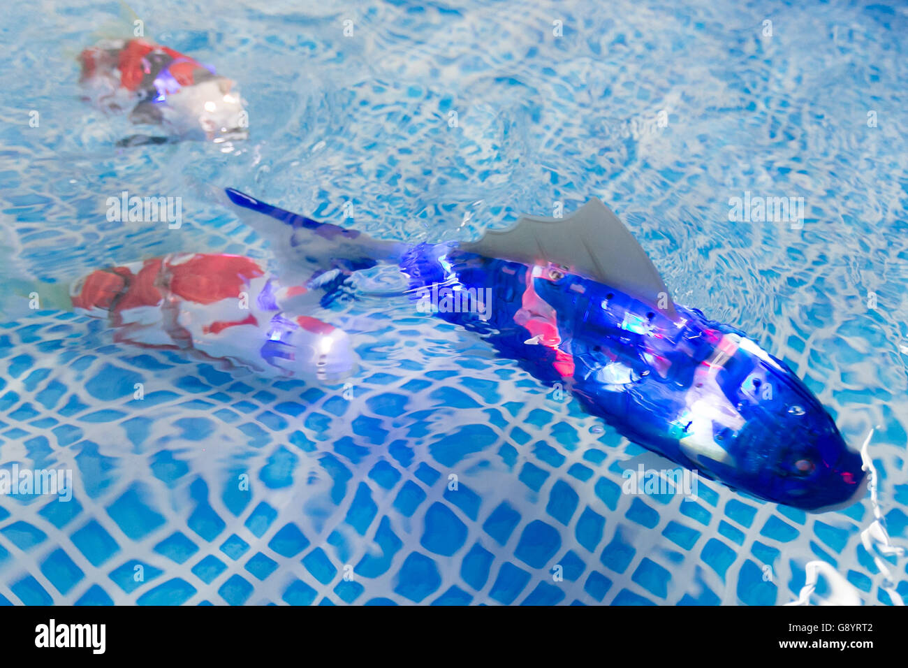 Fish robots MIRO (Marine Intelligence Robot) perform at Content Tokyo ...