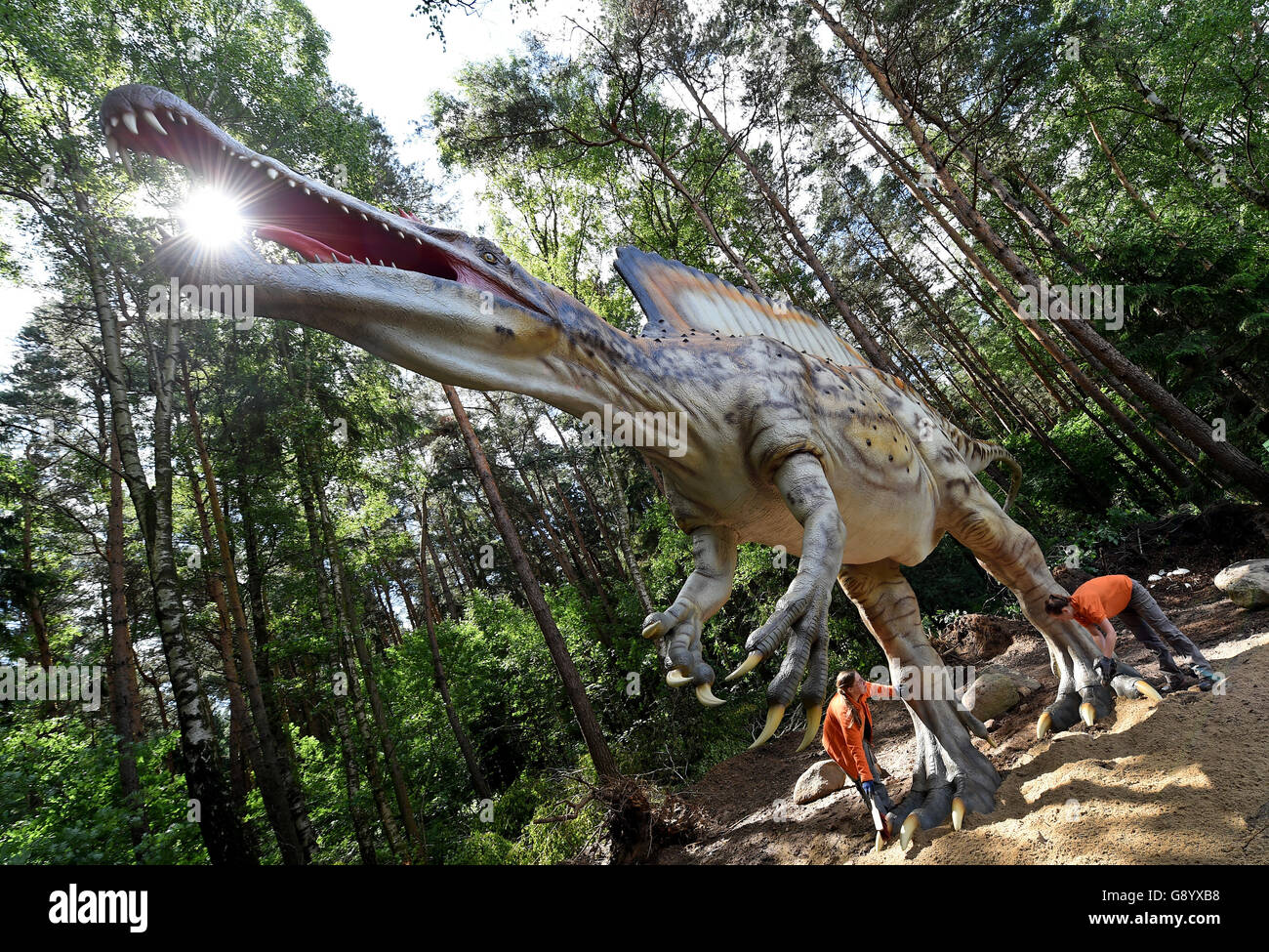 6 5 metre hi-res stock photography and images - Alamy
