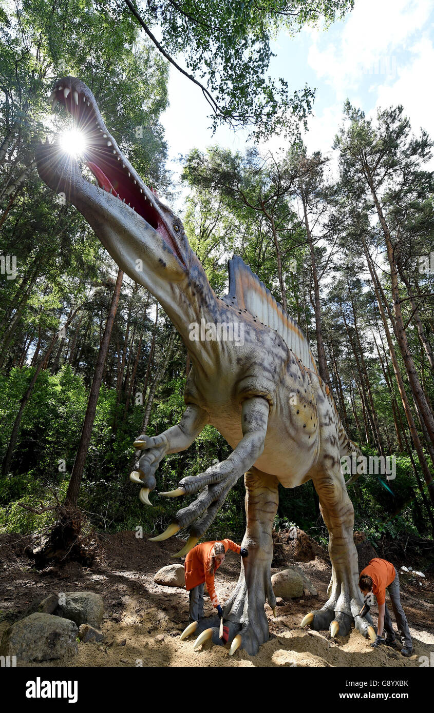Long species of dinosaurs hi-res stock photography and images - Alamy