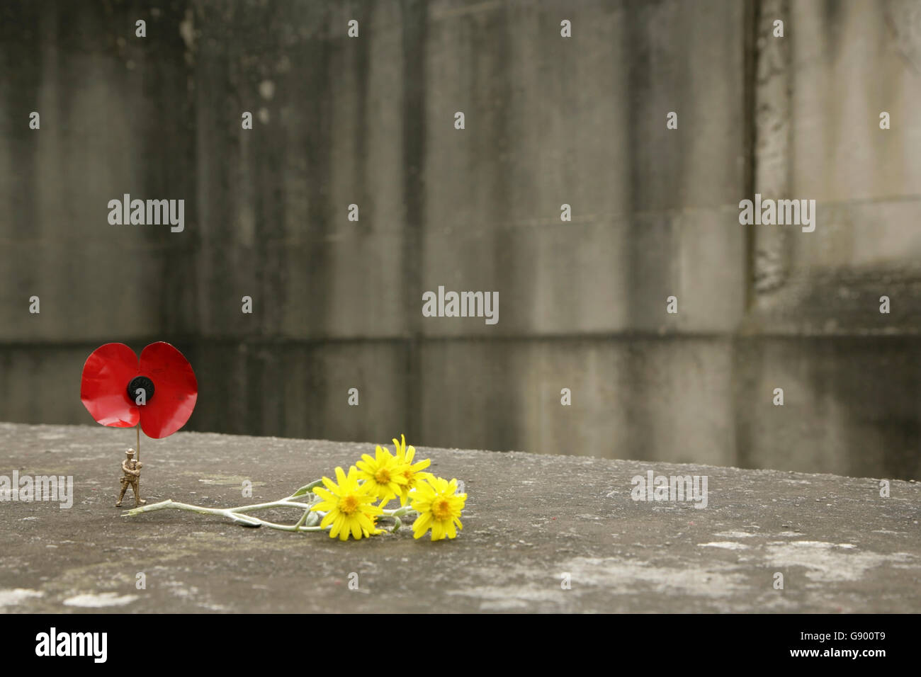 100th anniversary of the battle of somme hi-res stock photography and ...