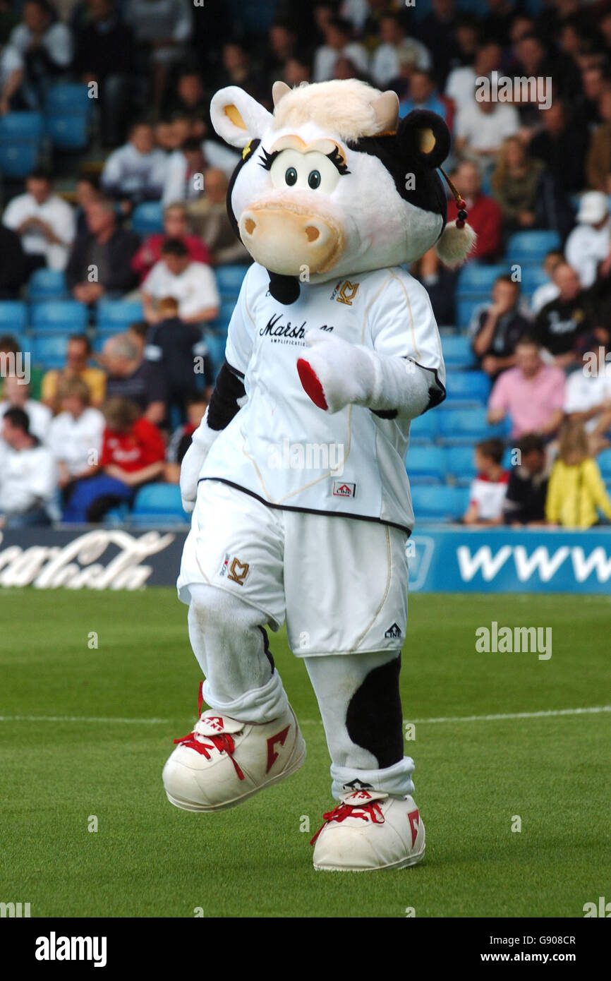 Milton keynes dons mascot hi-res stock photography and images - Alamy