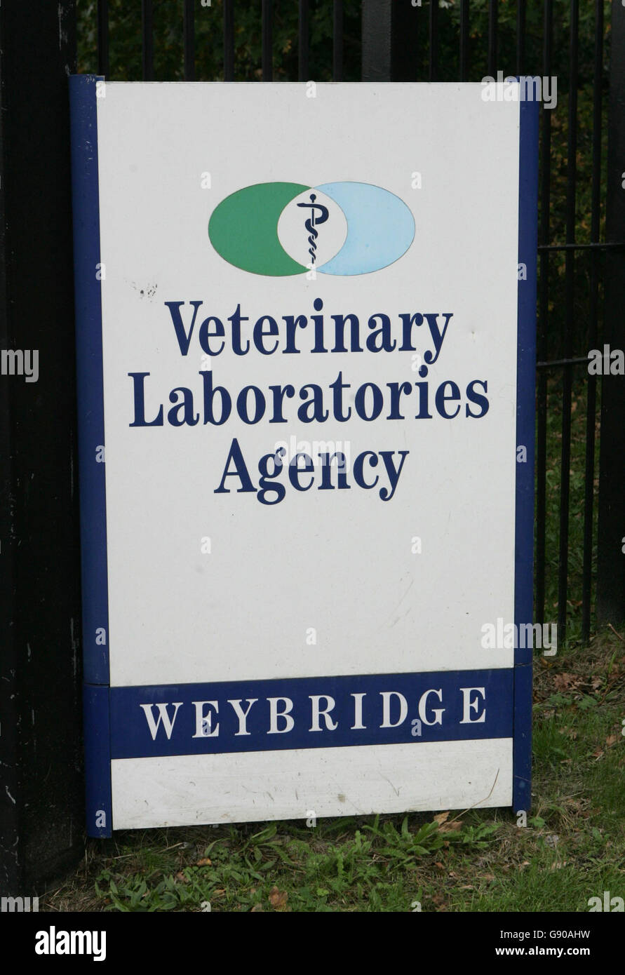 Food rural affairs defra veterinary laboratory agency headquarters ...