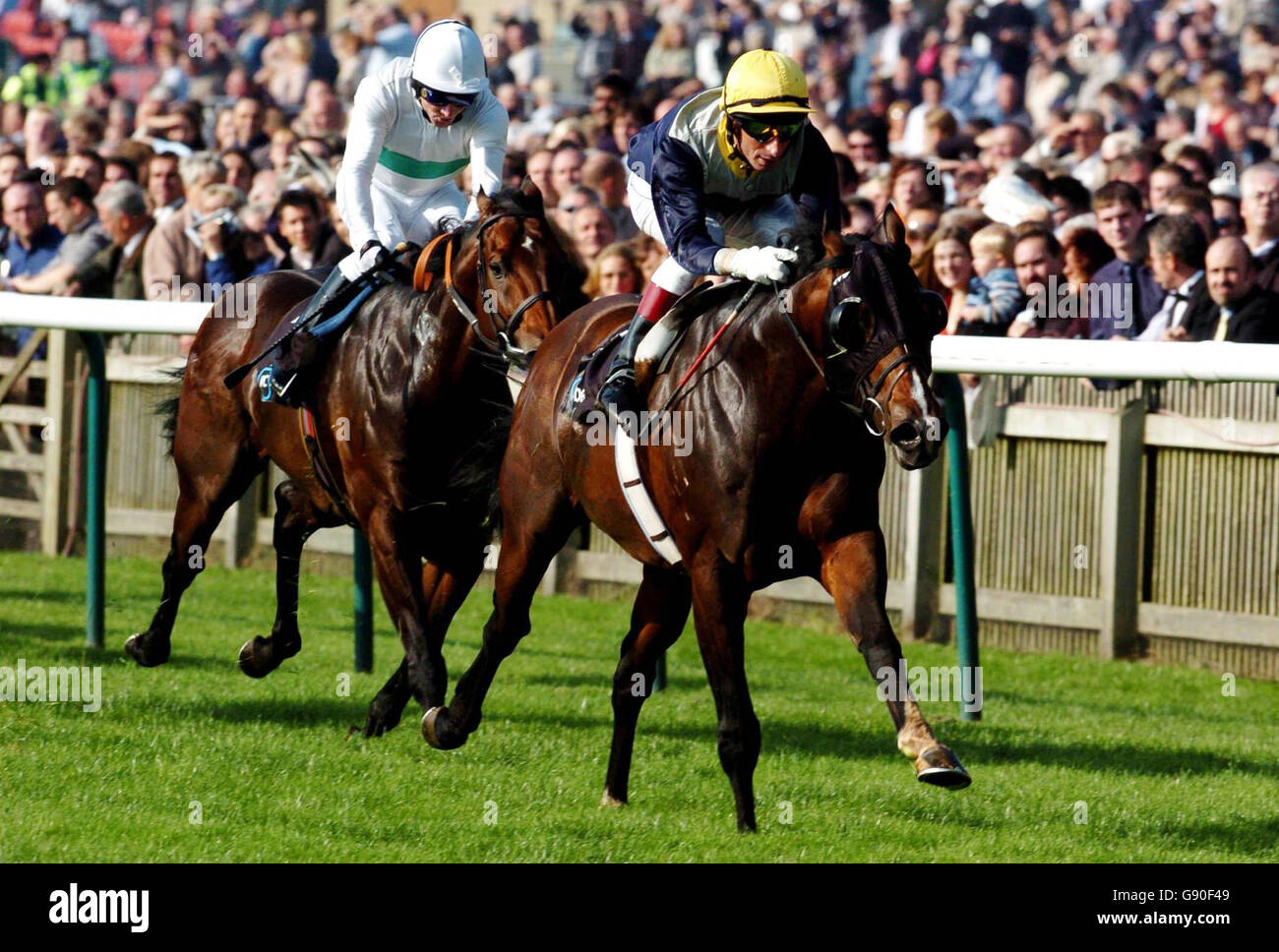 Racing - Newmarket Racecourse Stock Photo - Alamy