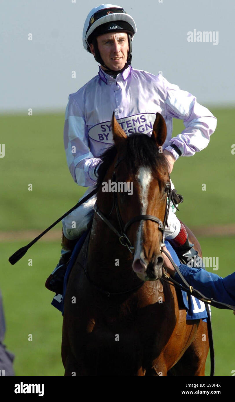 Martin dwyer sir percy hi-res stock photography and images - Alamy