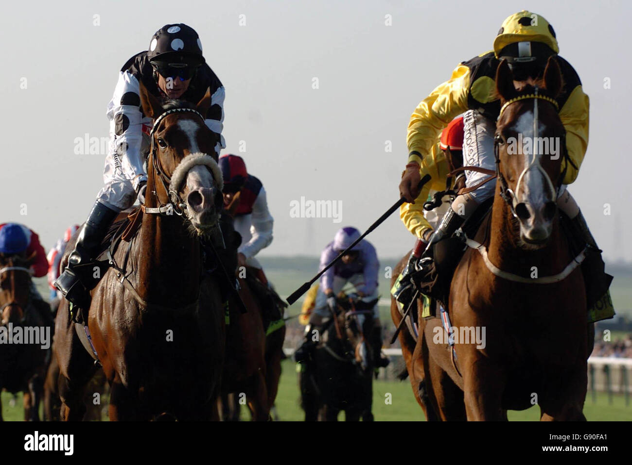 Racing - Newmarket Racecourse Stock Photo - Alamy