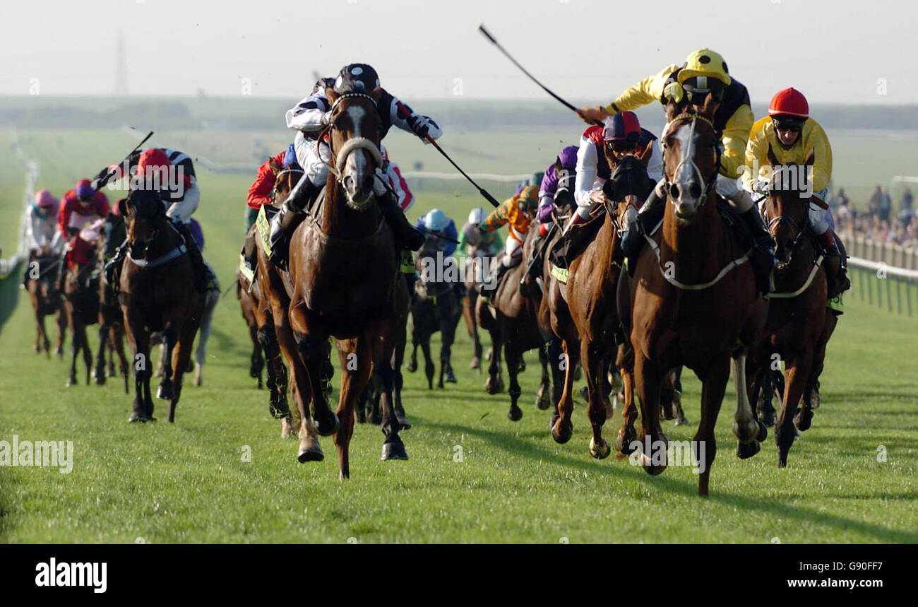 Racing - Newmarket Racecourse Stock Photo - Alamy