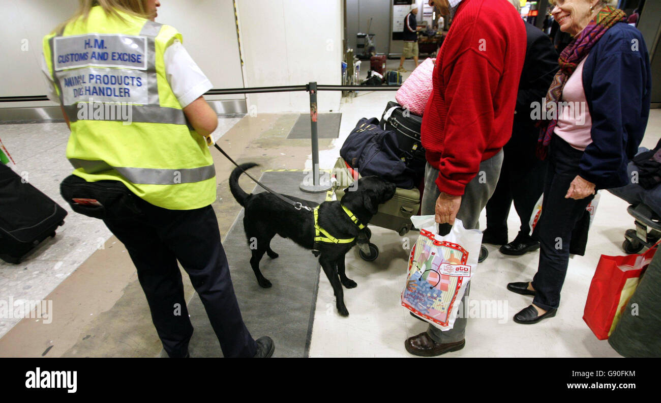 Customs officer Emily Tracey lets Jasper, a specialy trained Labrador ...