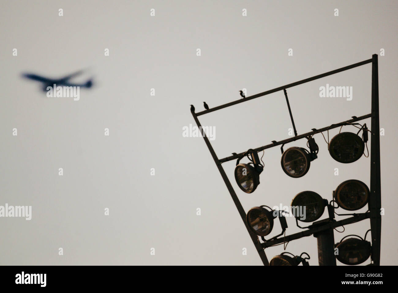 Macclesfield towns moss rose hi-res stock photography and images - Alamy