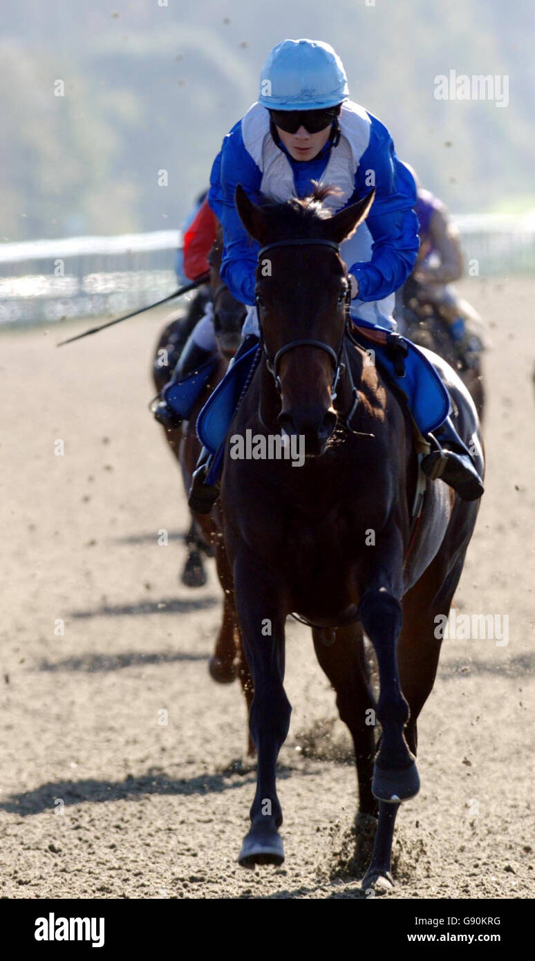 Jamie Dempsey High Resolution Stock Photography and Images - Alamy