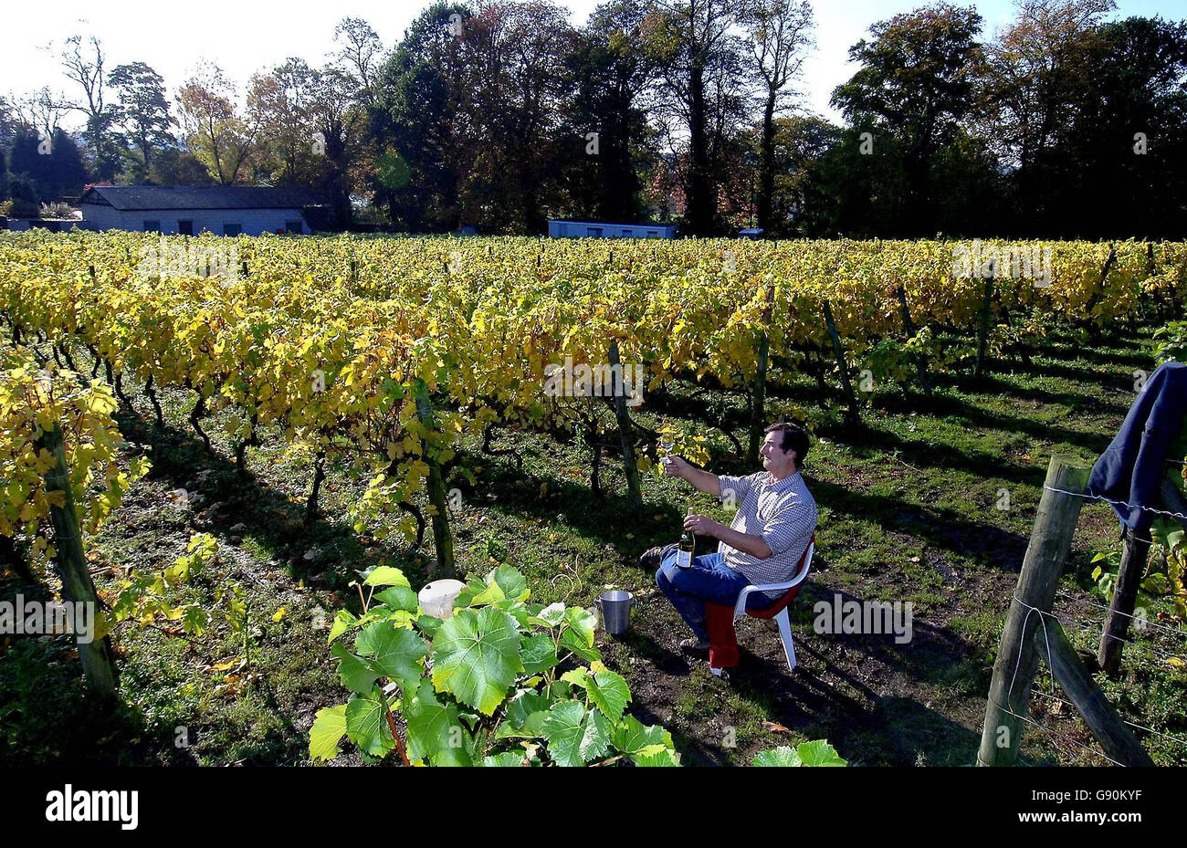 An afternoon among the golden autumn shades for George Bowden, the ...