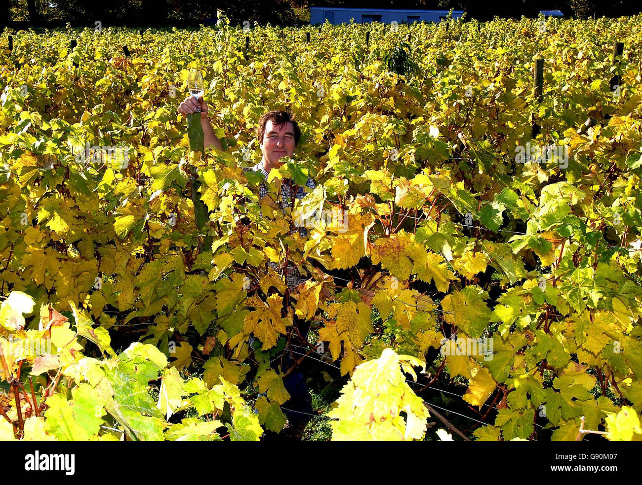 An afternoon among the golden autumn shades for George Bowden, the ...
