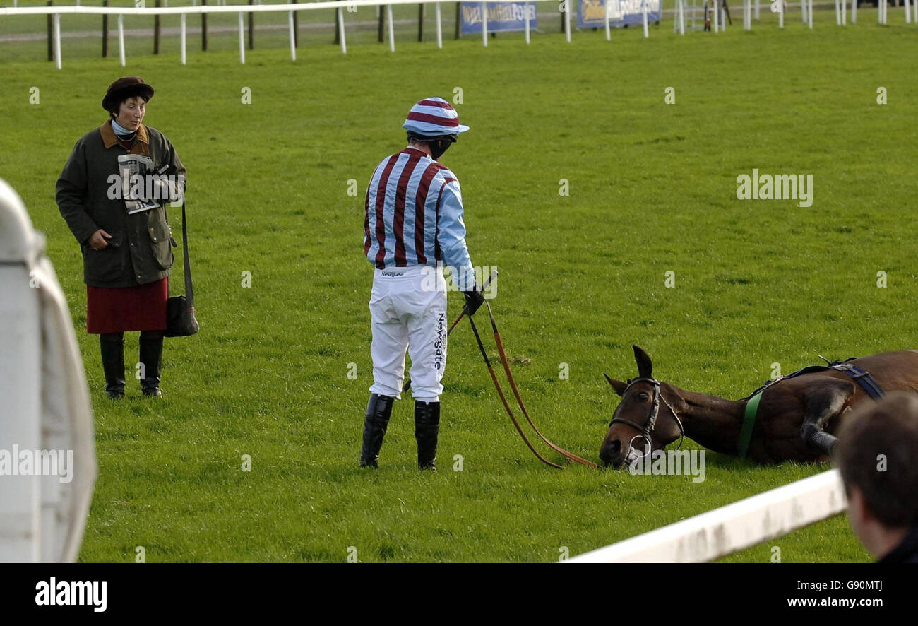Paul carberry jockey cheltenham hi-res stock photography and images - Alamy