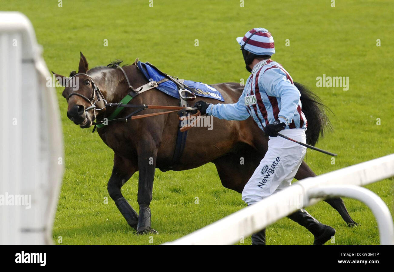 William hill haldon gold cup chase hi-res stock photography and images ...