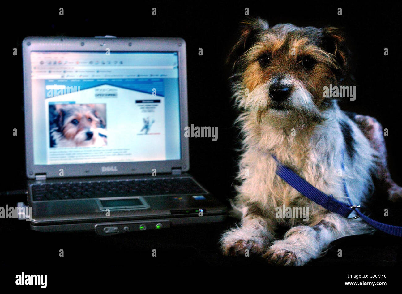 000 watch for pa story hi-res stock photography and images - Alamy