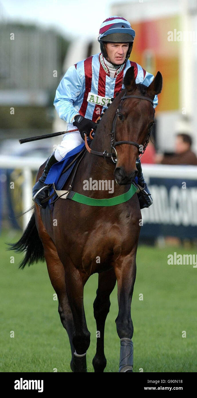 Best Mate ridden by jockey Paul Carberry before the start of the ...