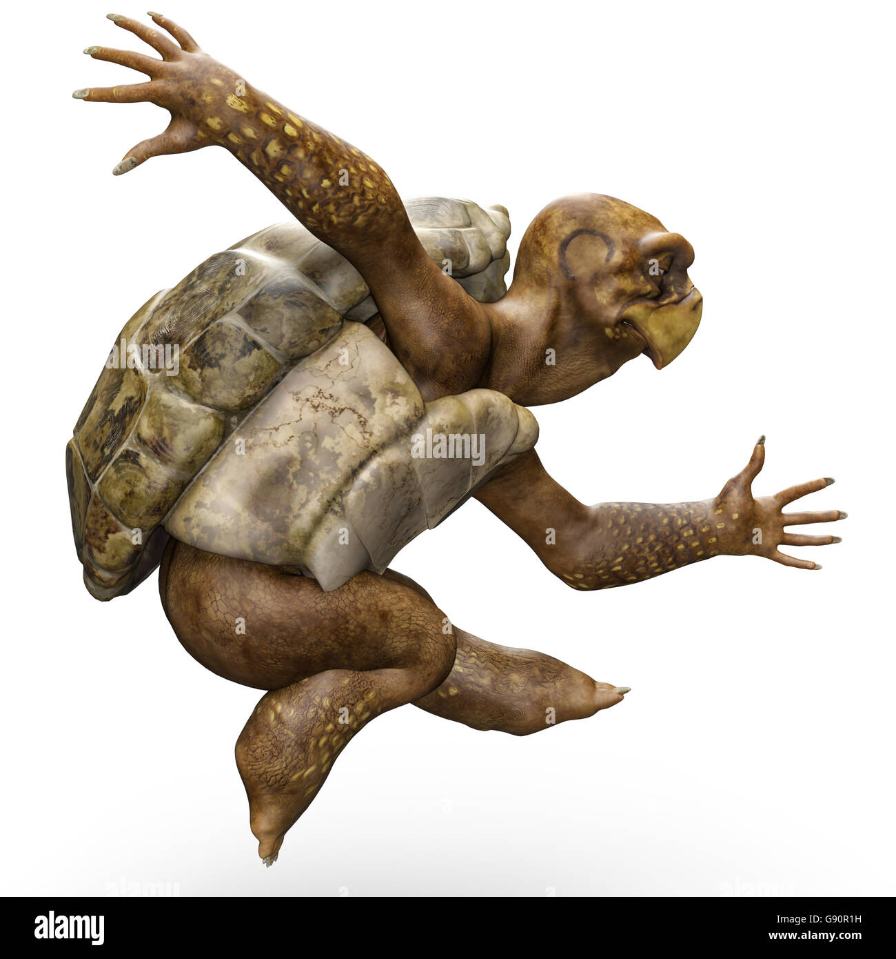 Mr turtle hi-res stock photography and images - Alamy