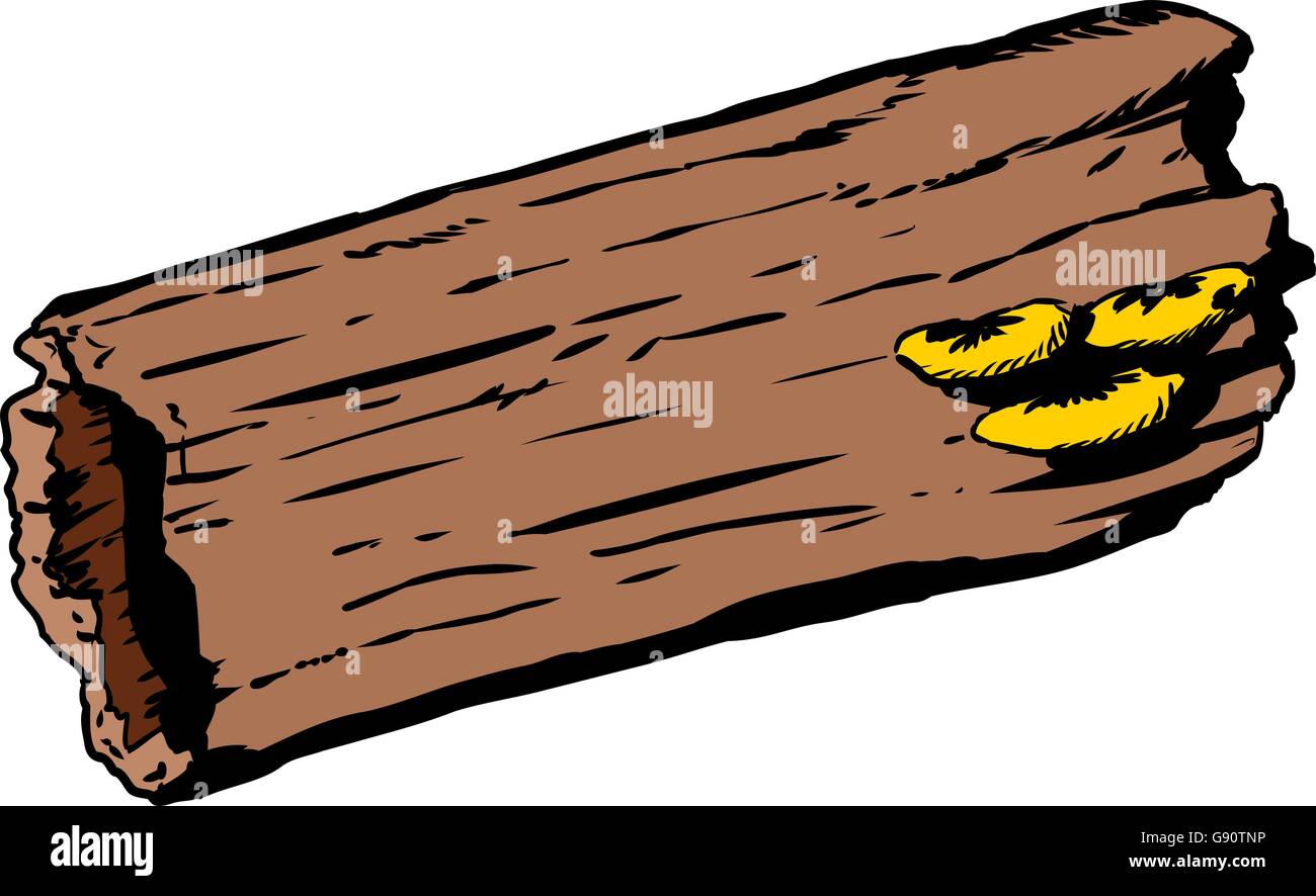 Hollow Log Drawing