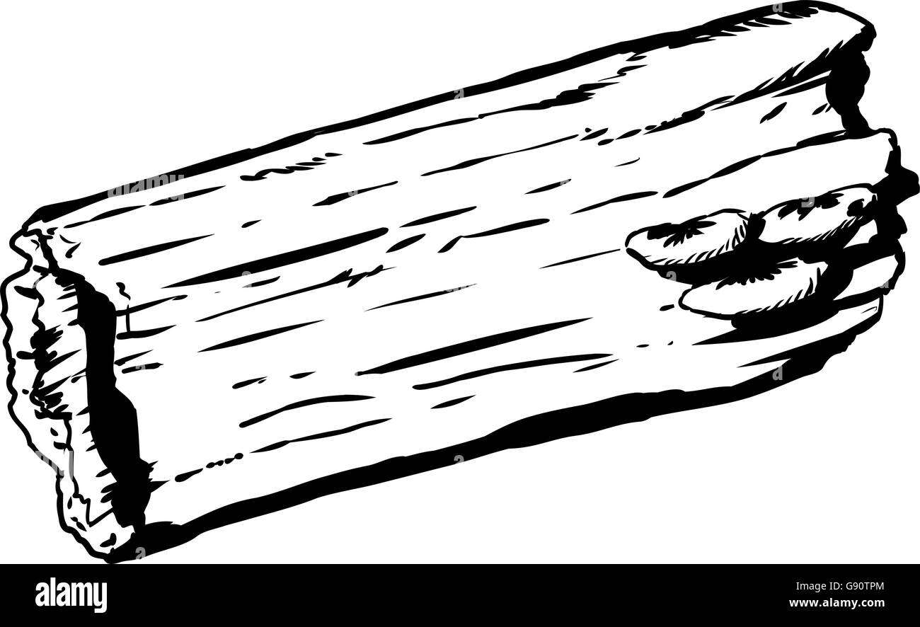 Outline doodle sketch of mushrooms growing on single rotting hollow log ...