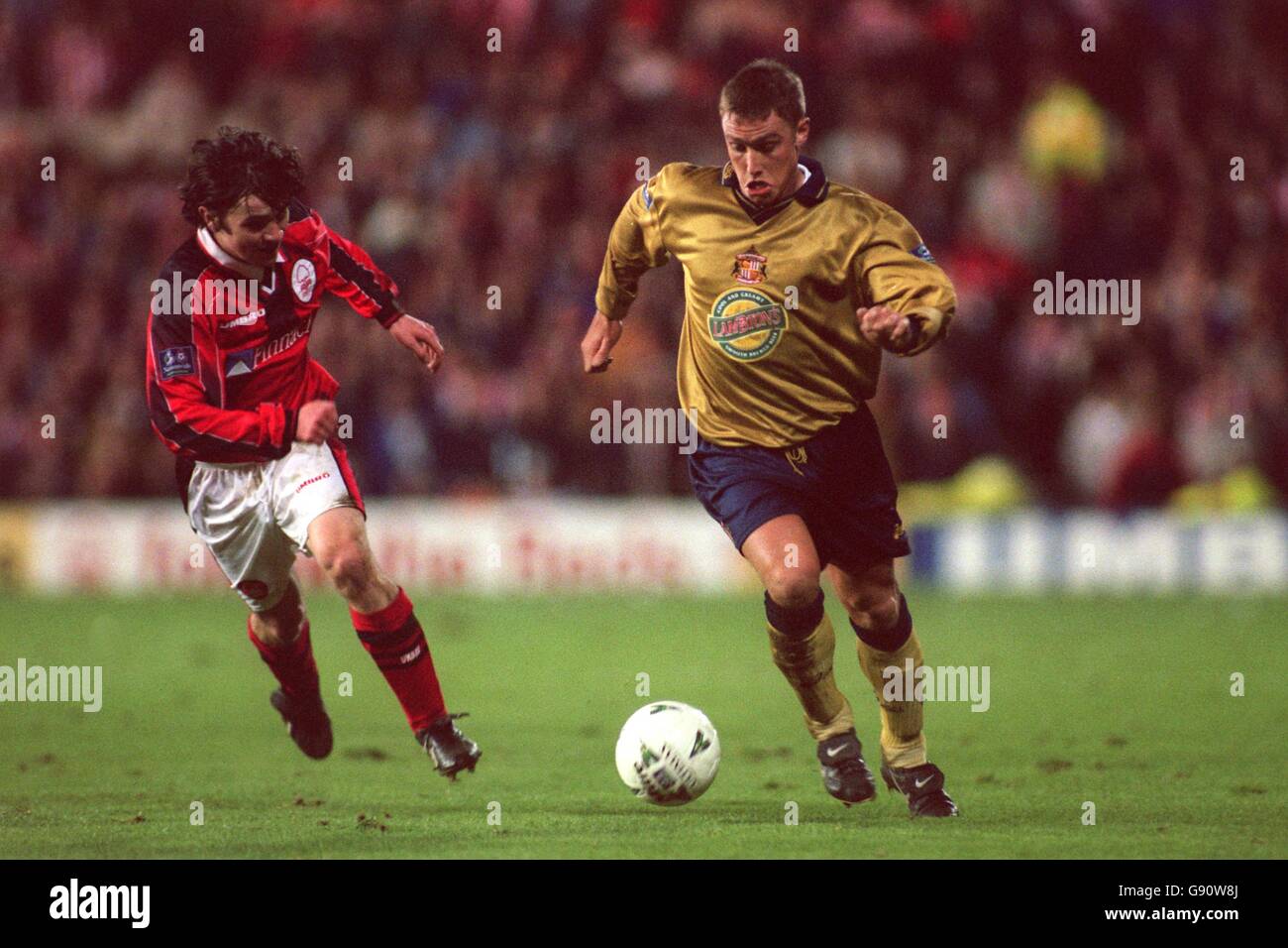 Damien johnson forest hi-res stock photography and images - Alamy