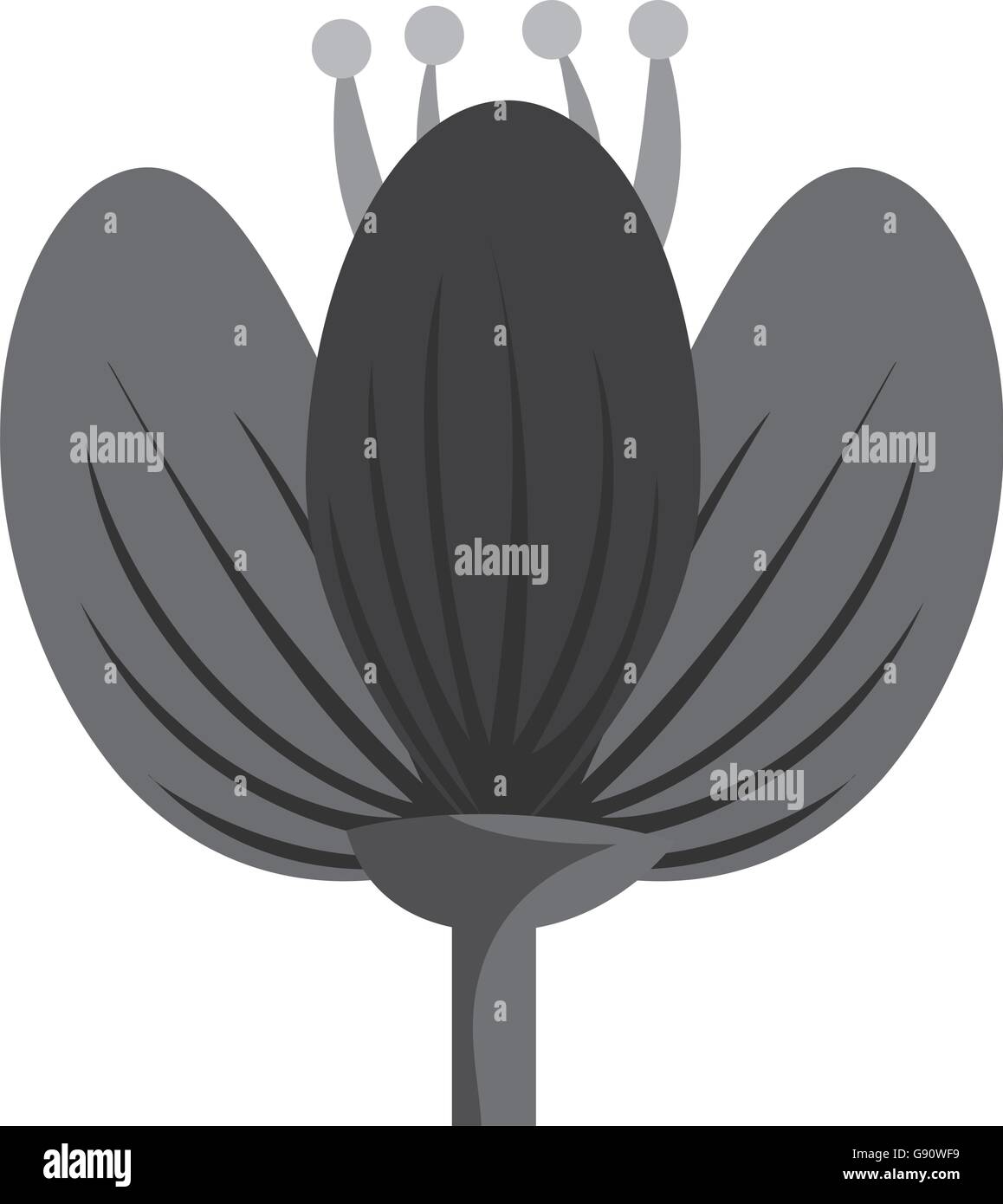 black and grey flower, vector graphic Stock Vector Image & Art - Alamy