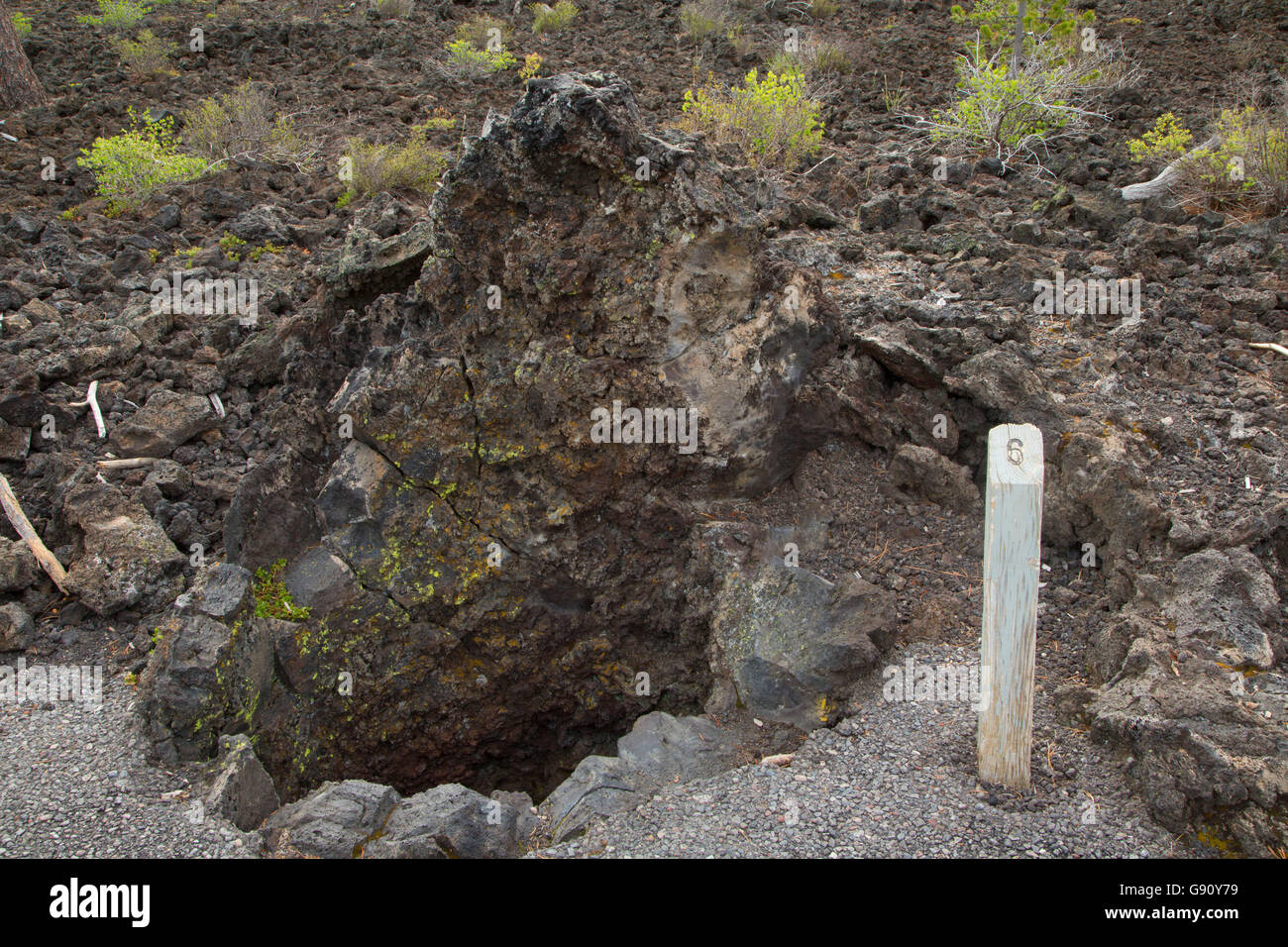 Lava cast along Lava Cast Forest Trail, Newberry National Volcanic ...