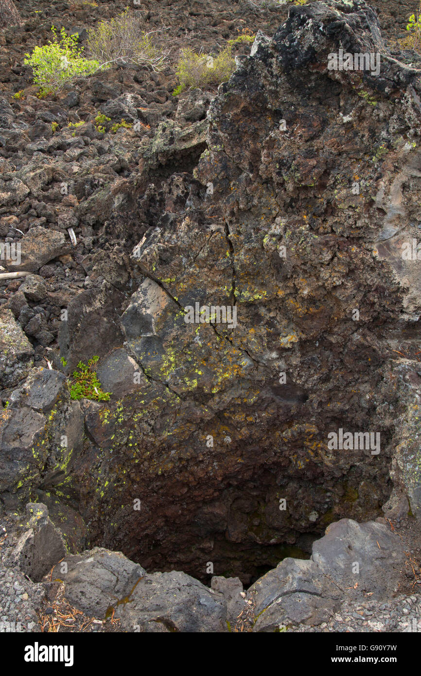 Lava cast along Lava Cast Forest Trail, Newberry National Volcanic ...
