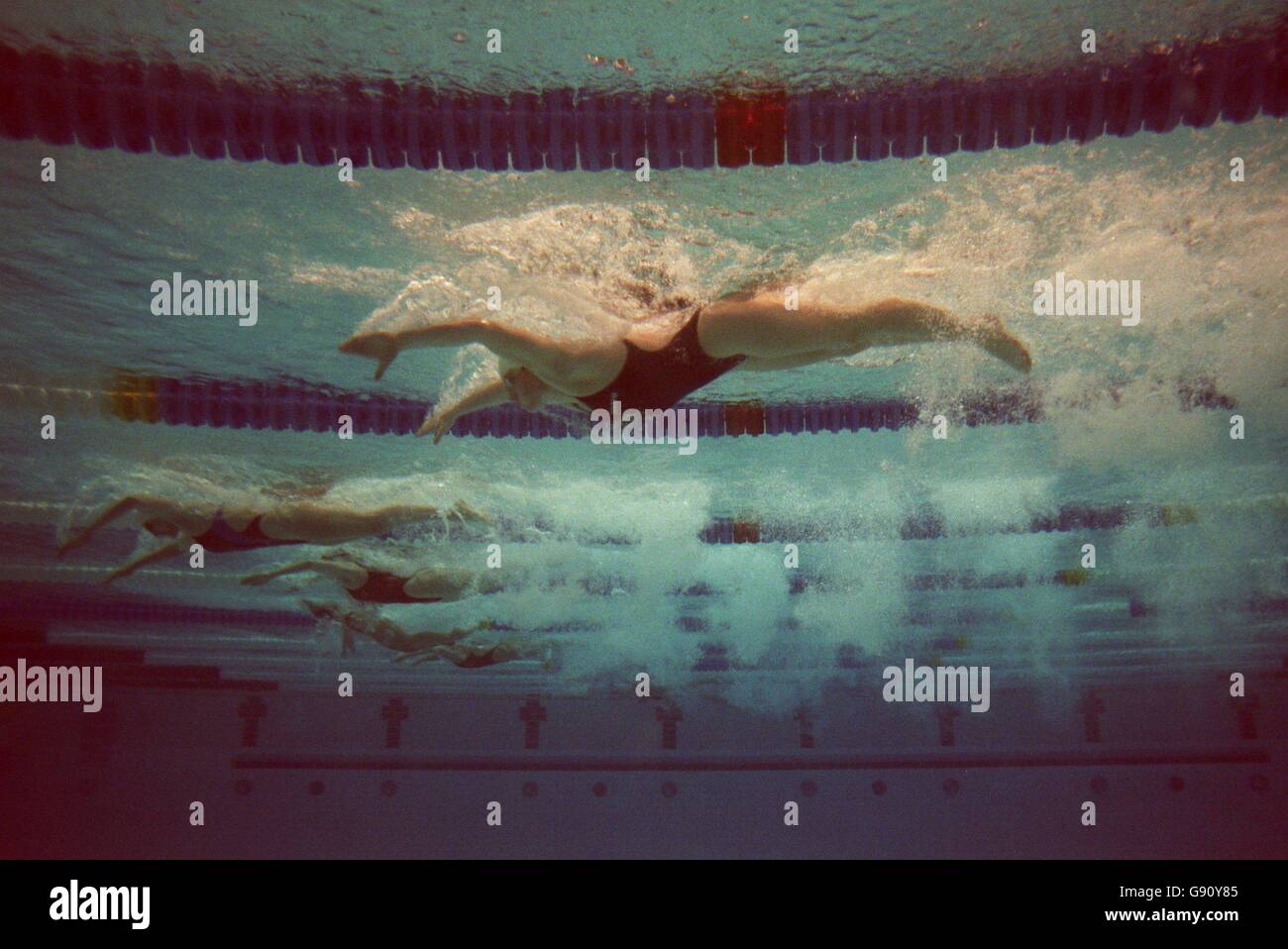 Swimming - World Cup - Sheffield. Swimmers in the pool at Ponds Forge ...