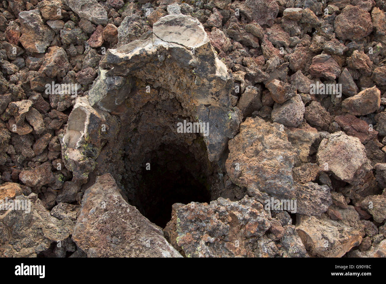 Lava cast along Lava Cast Forest Trail, Newberry National Volcanic ...