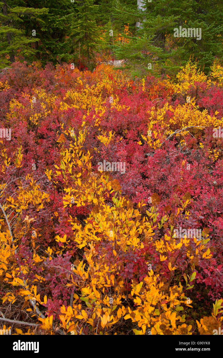 Monon trail hi-res stock photography and images - Alamy