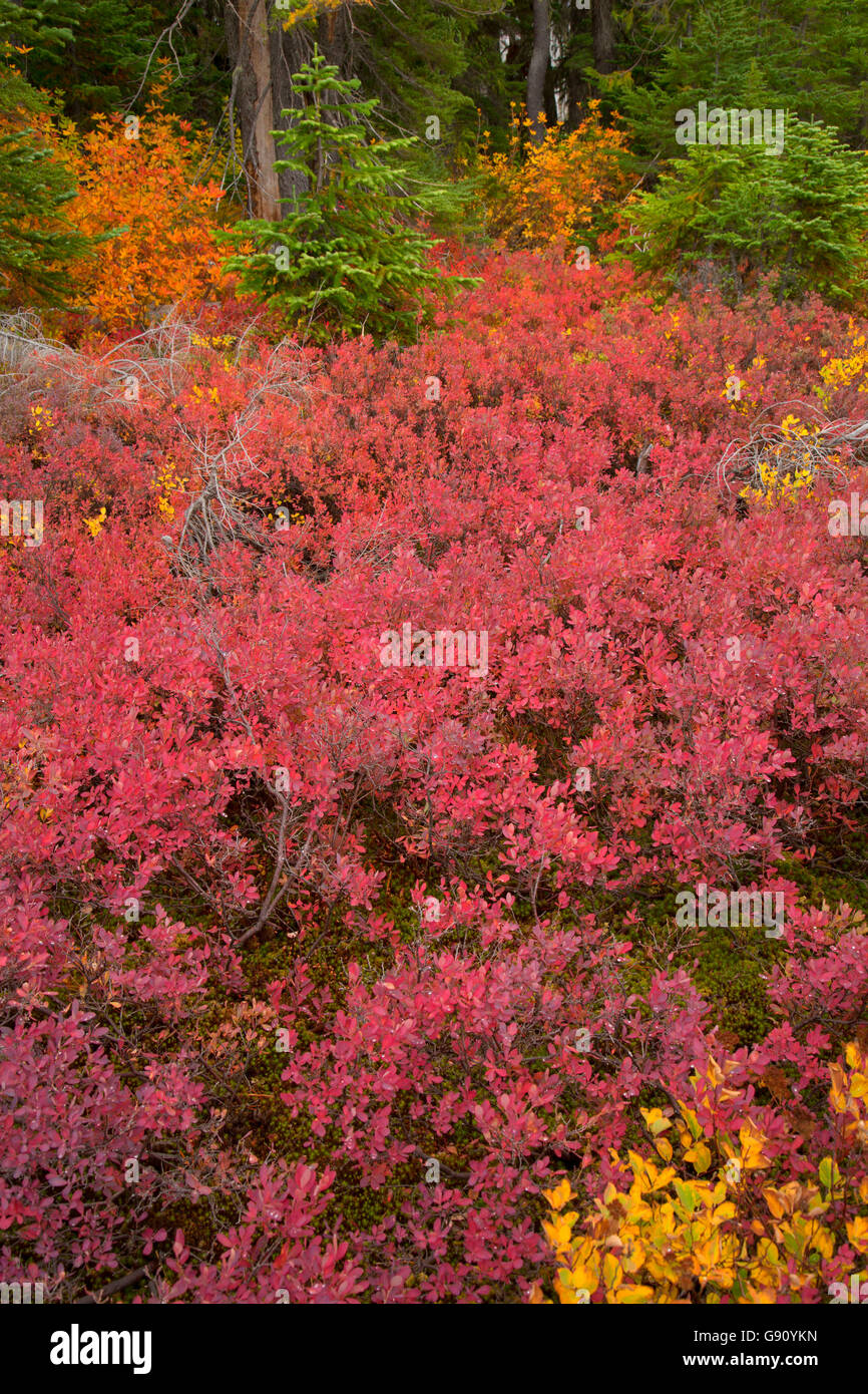 Monon trail hi-res stock photography and images - Alamy