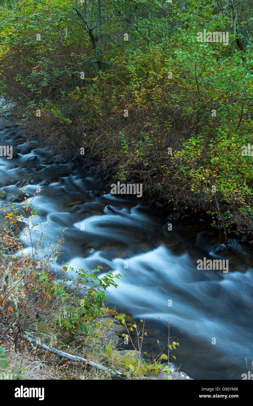 North Fork Umatilla River, North Fork Umatilla Wilderness, Umatilla ...