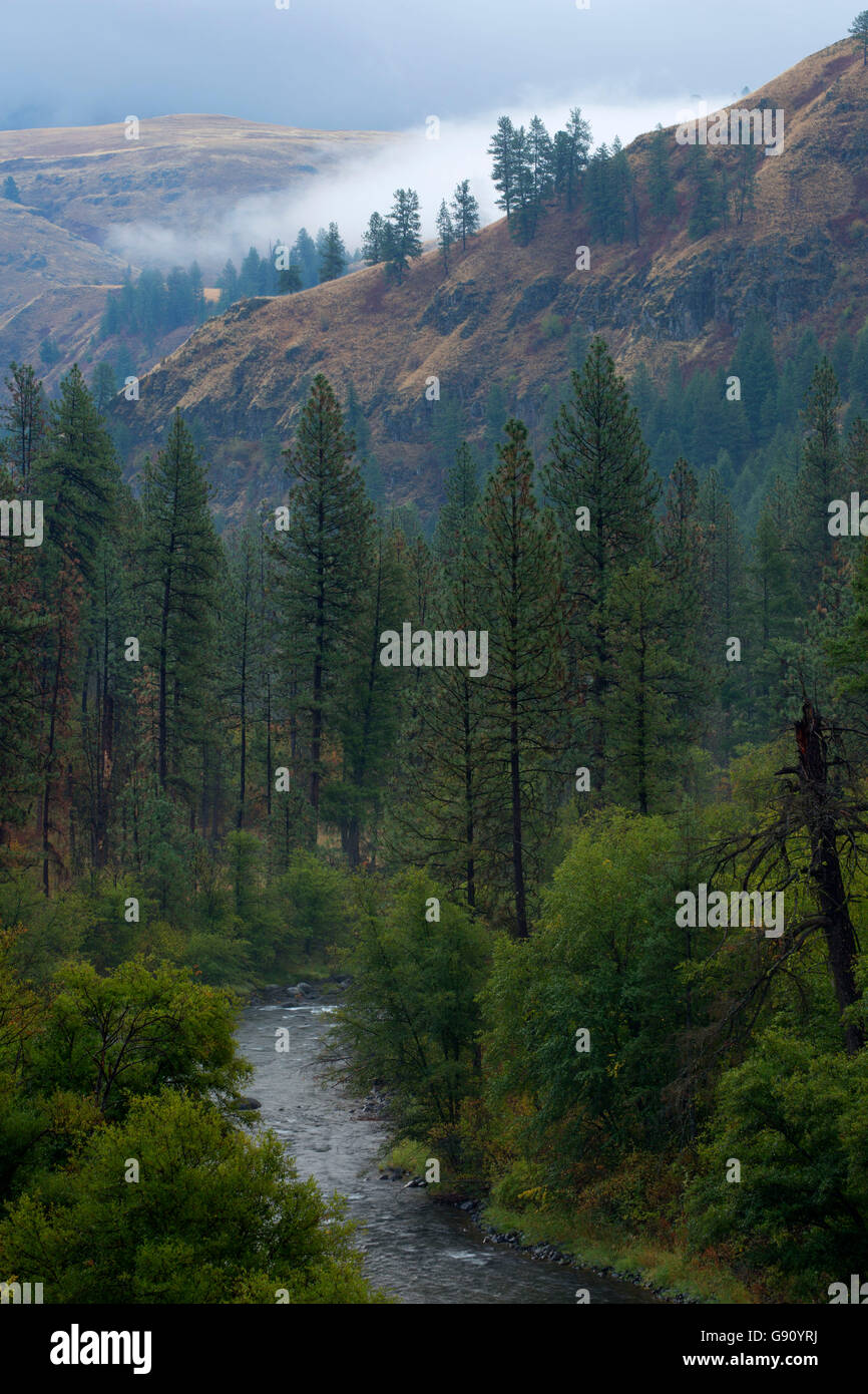 Wenaha river hi-res stock photography and images - Alamy