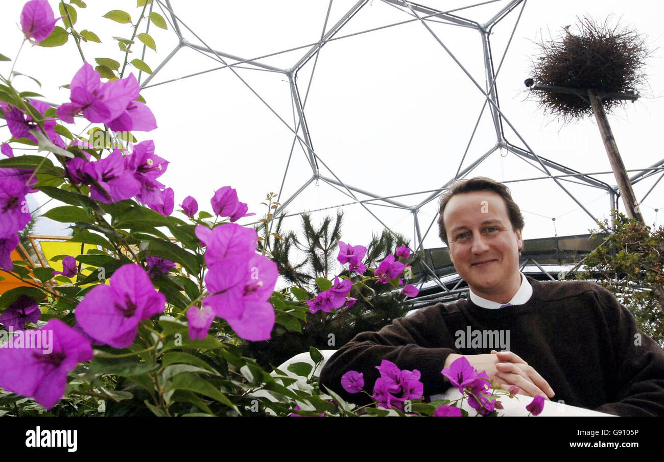 Conservative leadership contender David Cameron in a biome at the Eden ...