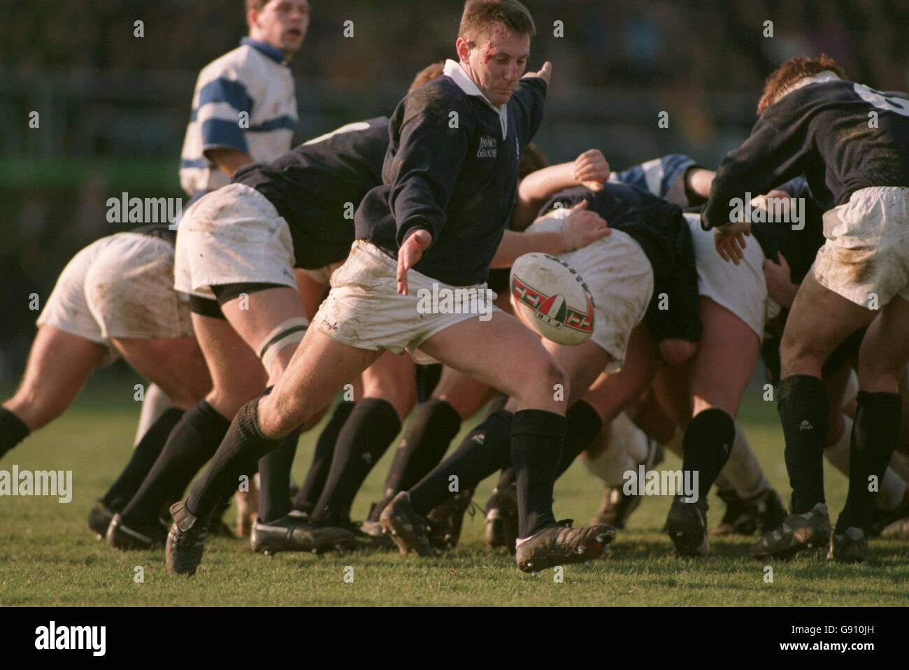 Scotland rugby gary armstrong hi-res stock photography and images - Alamy